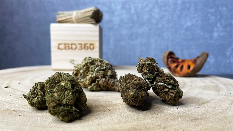 CBD Blüten & Gras in Deutschland kaufen: Legalität, Wirkung